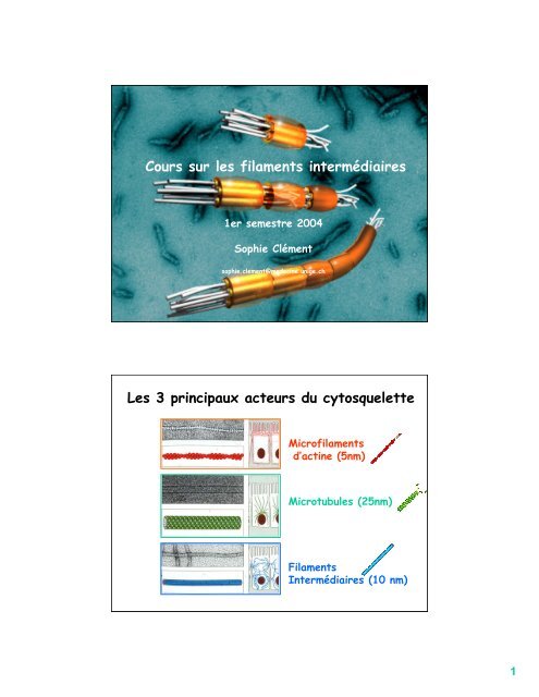 diffraction aux rayons X