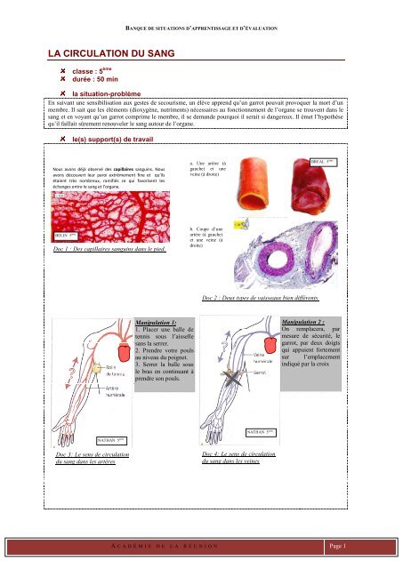 LA CIRCULATION DU SANG