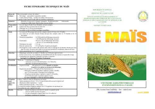 FICHE TECHNIQUE mais - SAED