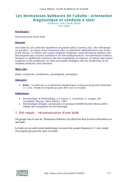 Les dermatoses bulleuses de l'adulte : orientation diagnostique et ...
