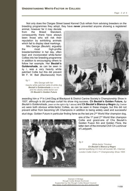 UNDERSTANDING WHITE-FACTO