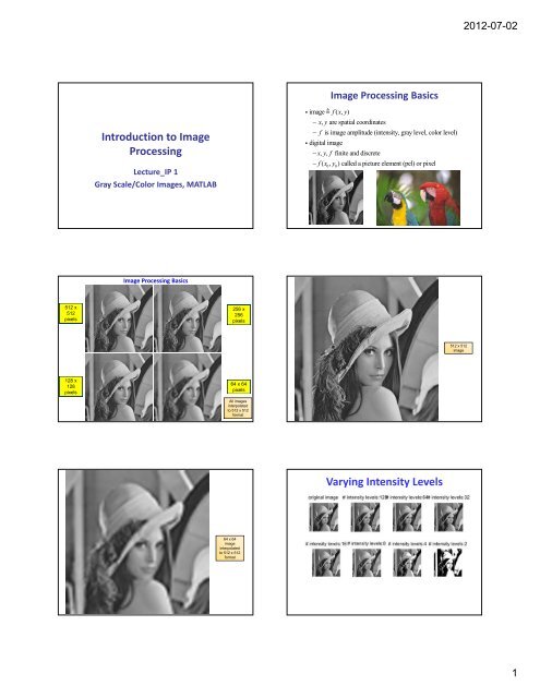 Counting Grains of Rice