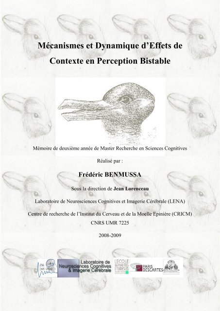 Mécanismes et Dynamique d'Effets de Contexte en Perception ...