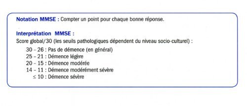 Mini-Mental State Examination - MMSE'”