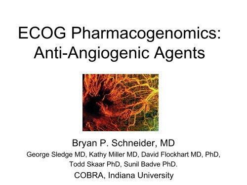 ECOG E2100 - Cancer Therapy Evaluation Program (CTEP)