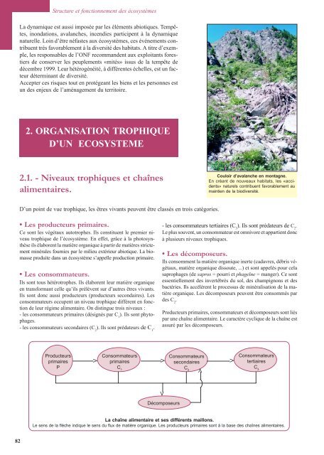 2. ORGANISATION TROPHIQUE D'UN ECOSYSTEME 2.1 ...