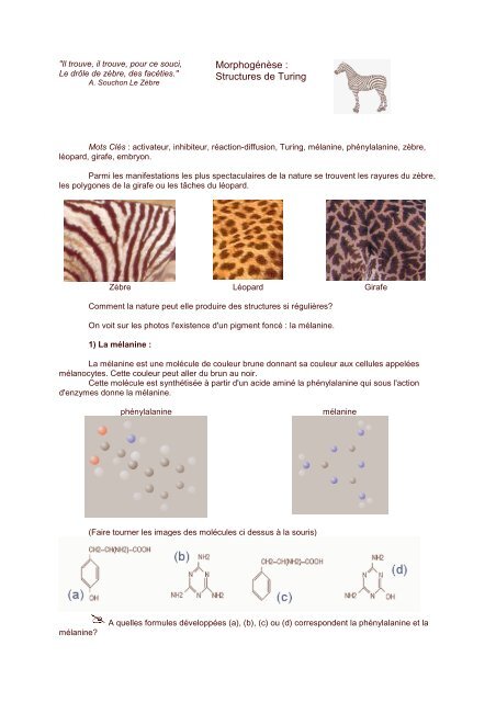 Morphogénèse : Structures de Turing - Xena