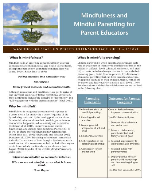 Mindfulness and Mindful Parenting for Parent Educators
