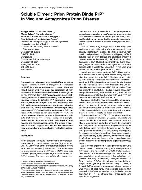 Soluble Dimeric Prion Protein Binds PrPSc In Vivo ... - ResearchGate
