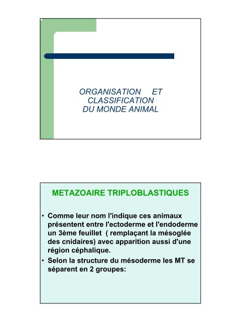 organisation et classification du monde animal metazoaire ...