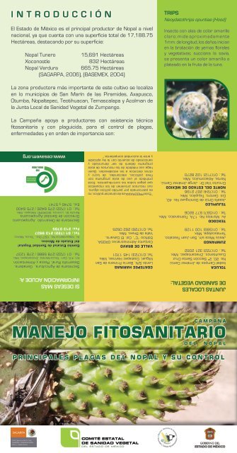 principales plagas del nopal y su control - Bienvenido a cesavem.org