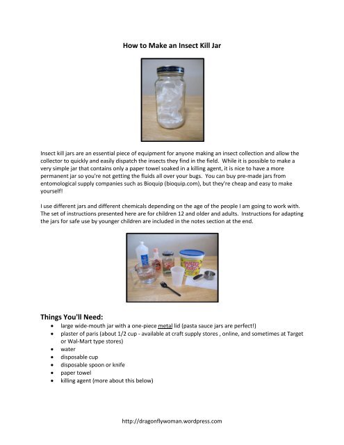 How to Make an Insect Kill Jar - The Dragonfly Woman