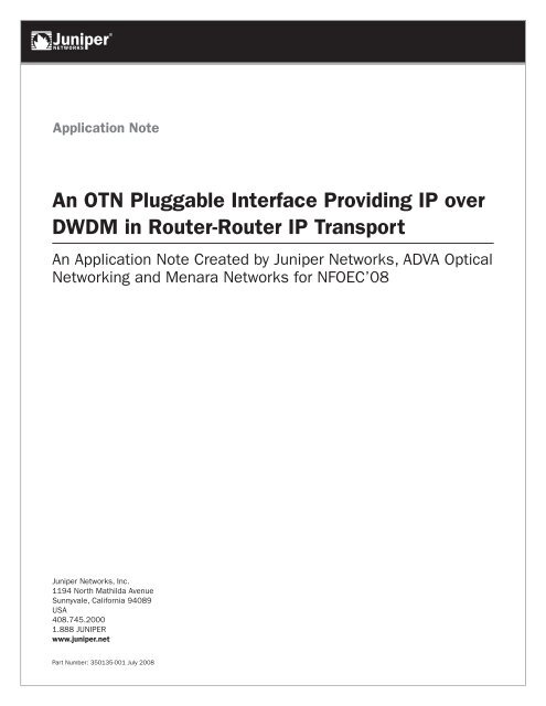 An OTN Pluggable Interface Providing IP over DWDM in Router ...