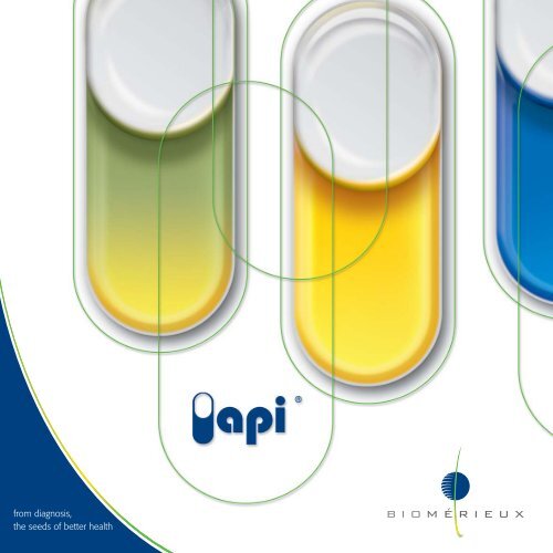 Api Identification System Tda