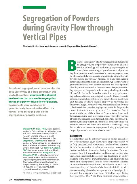 Segregation of Powders during Gravity Flow through Vertical Pipes