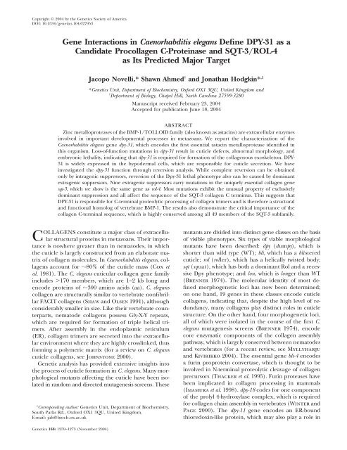 Gene Interactions in Caenorhabditis elegans Define DPY ... - Genetics