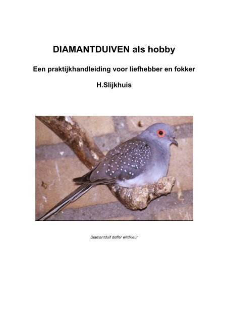 Diamantduiven als hobby - De Kleurzanger