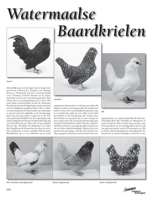Krielrassen