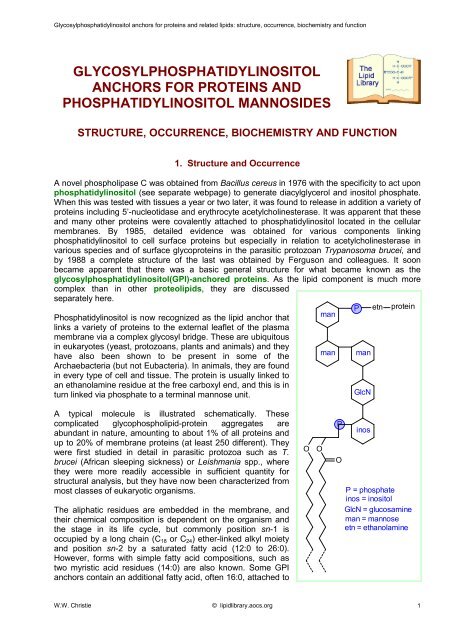 Glycosylphosphatidylinositol anchors for proteins - Lipid Library
