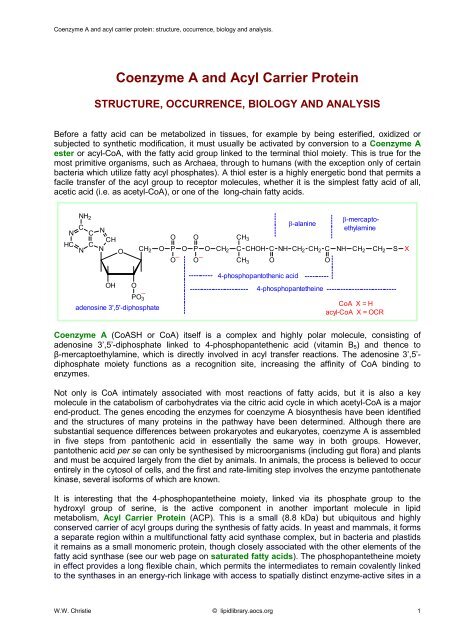 Coenzyme A and Acyl Carrier Protein - Lipid Library