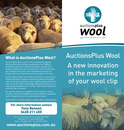 AuctionsPlus Wool A new innovation in the marketing of your wool clip