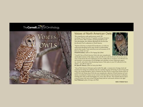 Voices of North American Owls - Macaulay Library