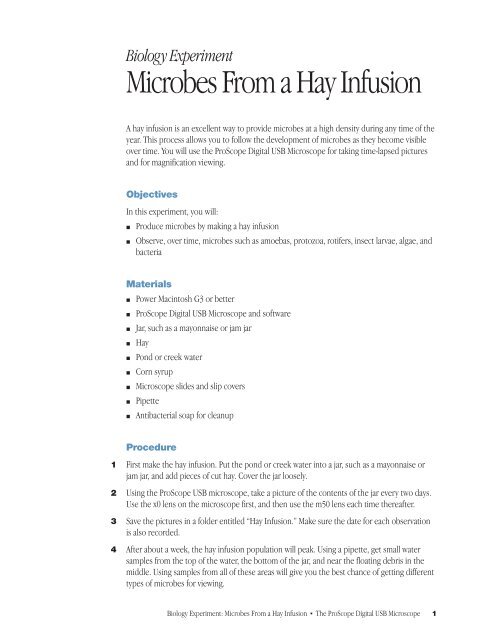 Biology Experiment: Microbes From a Hay Infusion - Bodelin