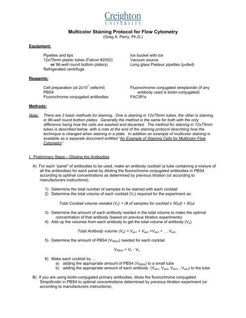 Multicolor Staining Protocol for Flow Cytometry