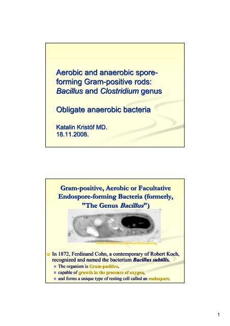 Aerobic and anaerobic spore- forming Gram-positive rods: Bacillus ...