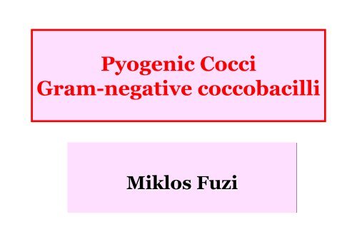 Pyogenic Cocci Gram-negative coccobacilli