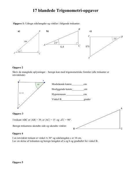 17 blandede Trigonometri-opgaver - Breum Skole