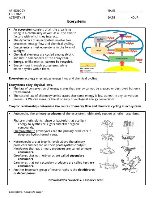Energy Flow And Chemical Cycling In An Ecosystem