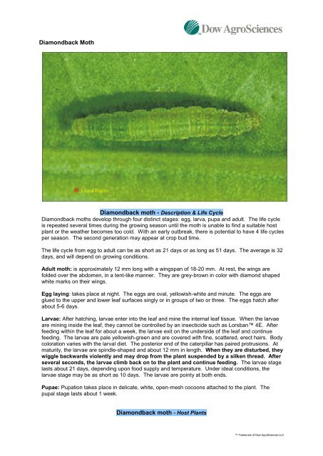 Diamondback moth - Control