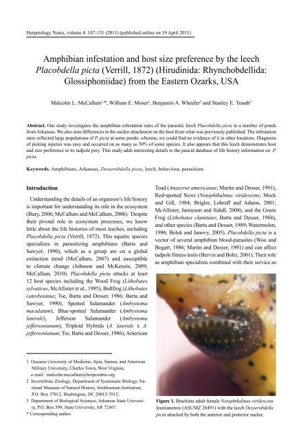 Amphibian infestation and host size preference by the leech ...