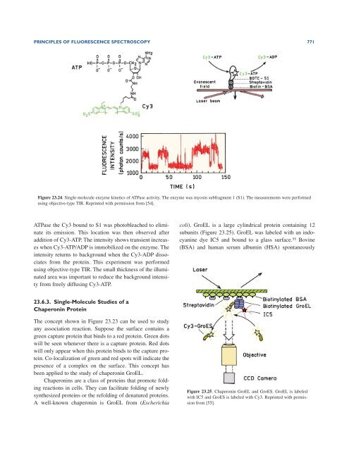 PRINCIPLES OF FLUORESCENC
