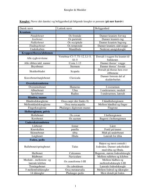 Knogler & Muskler 1 Knogler: Navn (det danske) og beliggenhed på ...