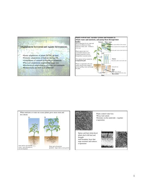 Adaptations to Terrestrial and Aquatic Environments •Some ...