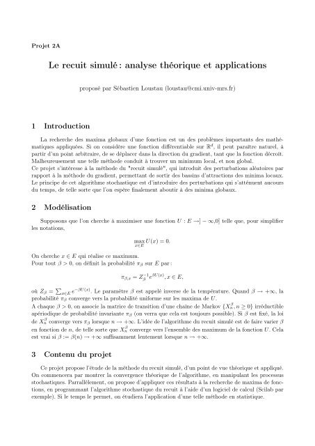 Le recuit simulé : analyse théorique et applications