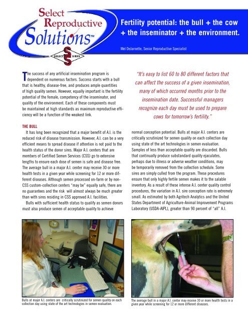 the bull + the cow + the inseminator + the ... - Select Sires, Inc.