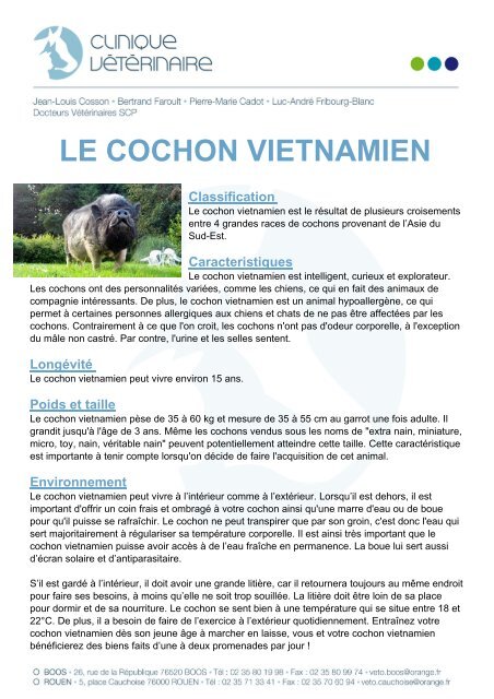 le cochon vietnamien - Veterinaire-rouen-boos.fr