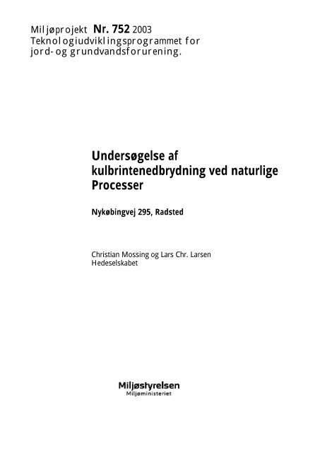 PDF-format - Miljøstyrelsen