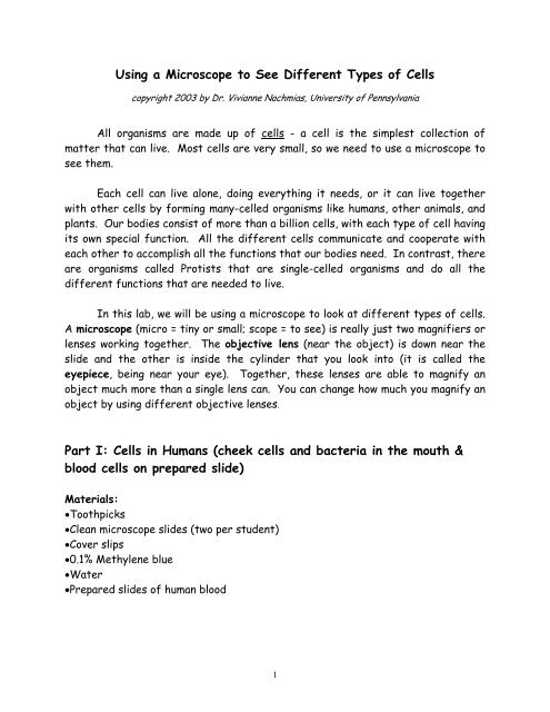Using a Microscope to See Different Types of Cells