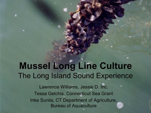 Mussel Long Line Culture