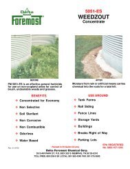 FM 601-ES - Delta Foremost Chemical