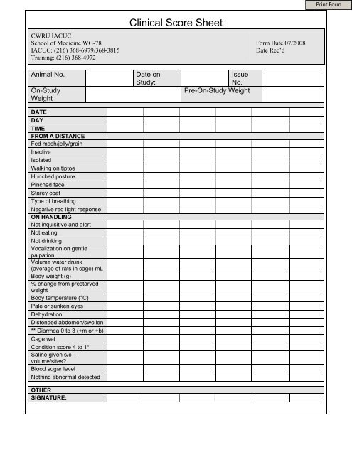 Score Sheet