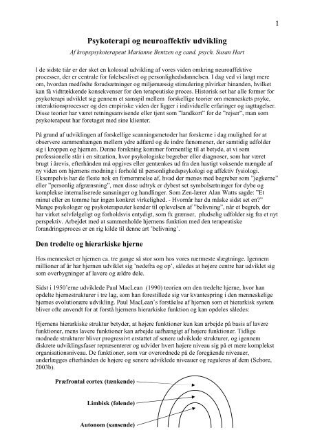 Psykoterapi og neuroaffektiv udvikling - SE Foreningen Danmark