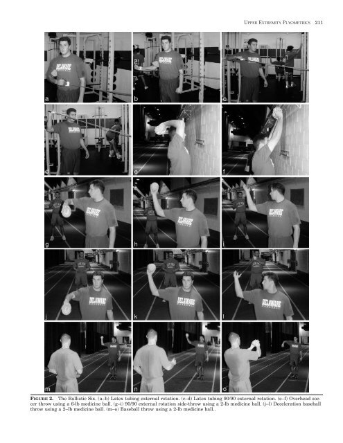 UPPER EXTREMITY PLYOMETRI