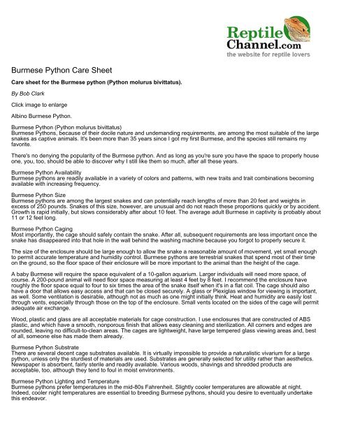 Burmese Python Care Sheet - Reptiles