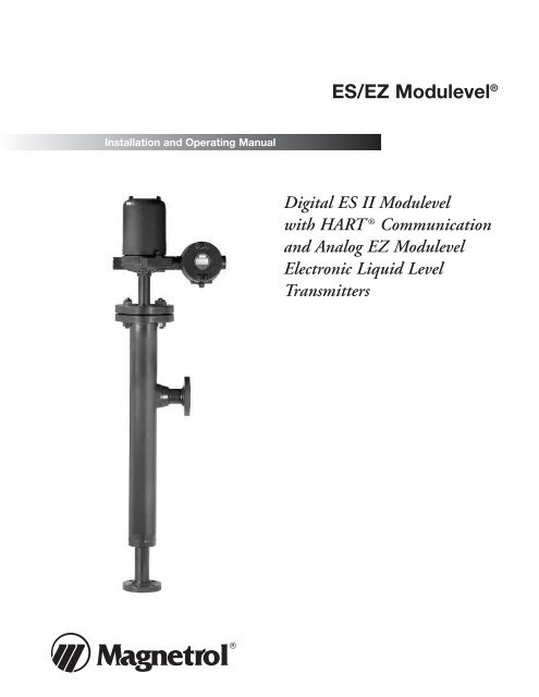 ES/EZ Modulevel® - Magnetrol International