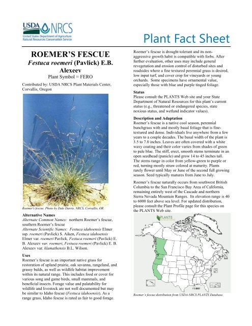 Plant fact sheet for Roemer's fescue - USDA Plants Database